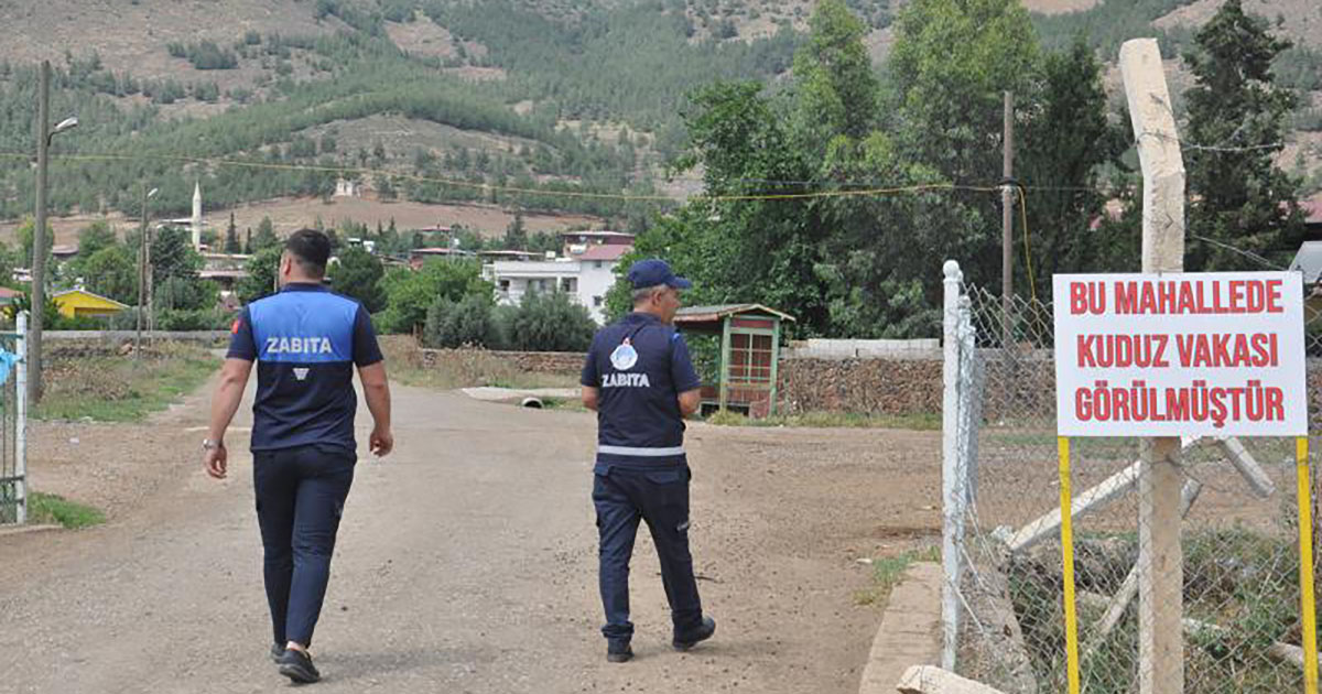 Gaziantep’te Kuduz Vakası: İki Mahalle Karantinada | Klimik